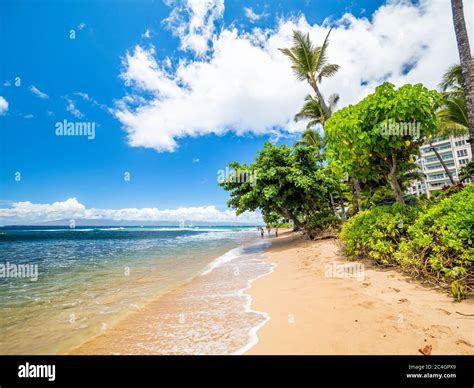 Kaanapali Shores Maui Hawaii