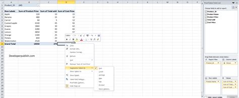 Summarizing Pivot Table Data In Excel Developer Publish