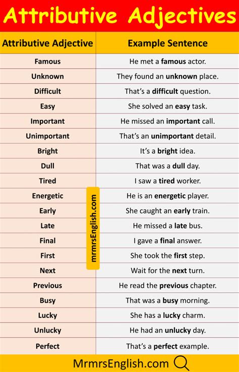 Attributive Adjectives Examples Sentences In English With Pictures Mr