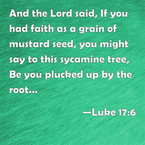 Luke 17 6 And The Lord Said If You Had Faith As A Grain Of Mustard