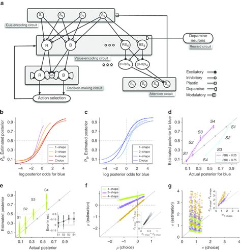 Schematic Of The Model And Models Behaviour During The Probabilistic