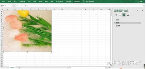 如何在excel表格中插入图片 使其刚好填满整个单元格 知乎