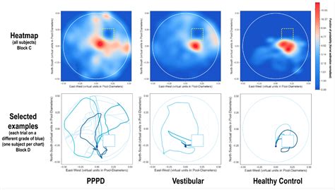Functional Dizziness As A Spatial Cognitive Dysfunction Departamento