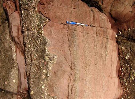Conglomerate Sedimentary Rocks