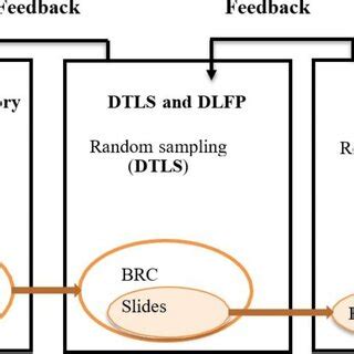 Algorithm Of Stepwise Rechecking Of The EQA System In Uganda DTLS Download Scientific Diagram