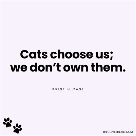 79 Pet Quotes To Brighten Your Day The Clever Heart
