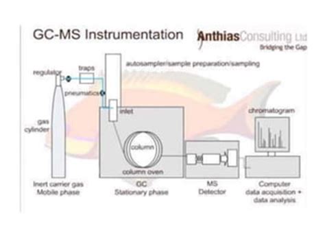 Gc Ms Schematic