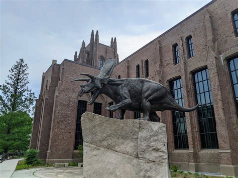 Yale Peabody Museum Of Natural History Everything You Need To Know