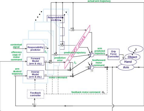 Figure 1 From Multiple Paired Forward Inverse Models For Human Motor Learning And Control