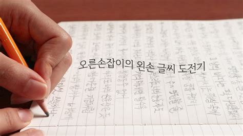 왼손 글씨 한 달 도전기 Youtube
