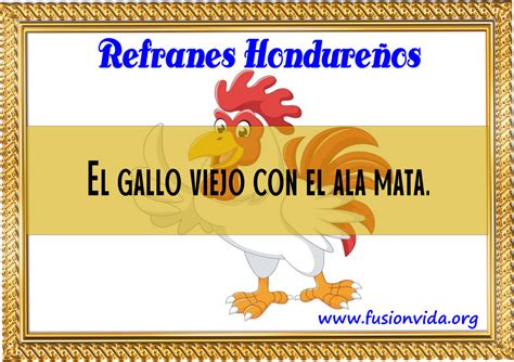 Fusión Vida Org