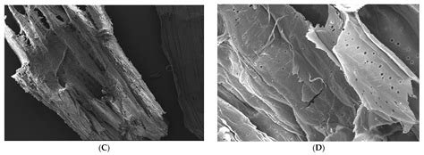 Enhancing Biogas Production Of Co Digested Cattle Manure With Grass