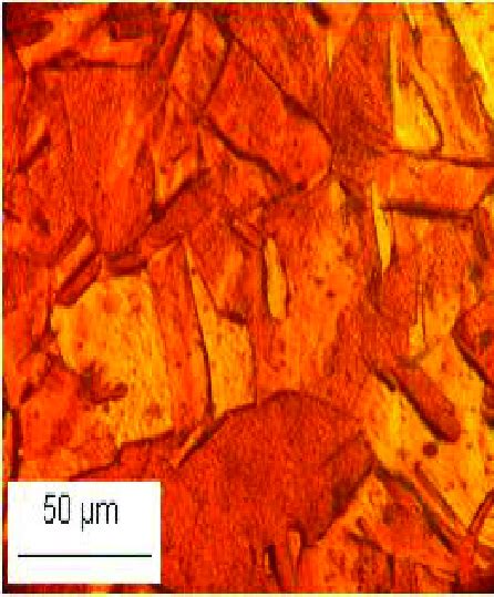 Microstructure Of Material Near The Axis Of Symmetry Download Scientific Diagram
