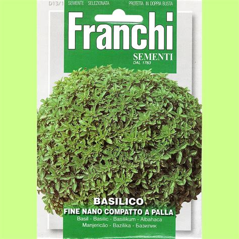 Ocimum Basilicum Basil Or Great Basil Horomidis Agronomic Corp