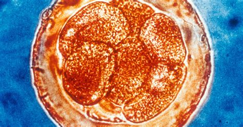 Dna Writing Machines Record Cell History