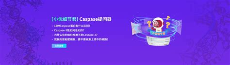 探秘抗体的三大关键作用机制：adcc、adcp 及 Cdc 上海优宁维生物科技股份有限公司