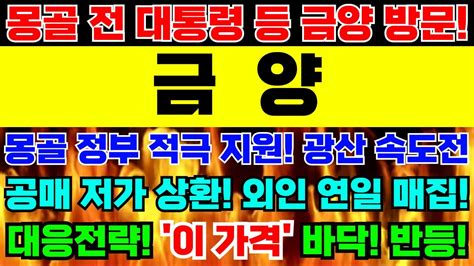 금양 주가전망 🚨긴급속보🚨몽골 전 대통령 금양 방문 광산 속도전 몽골 정부 적극 지원 공매 저가 상환 외인 또 매수 Ira 문제 없다 대응전략 이 가격