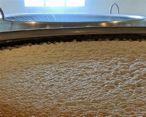 Reasons For Open Fermentation