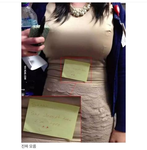 여자 가슴이 크면 단점  유머 움짤 이슈 에펨코리아