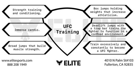 101 Guide To Become Ufc Fighter Elite Sports