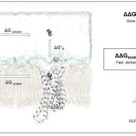 Relative Binding Free Energy Calculation As A Valuable Tool For Driving Download Scientific