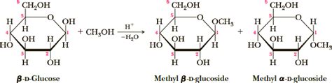 Treatment Of β D Glucose With Methanol In The Presence Of An Acid