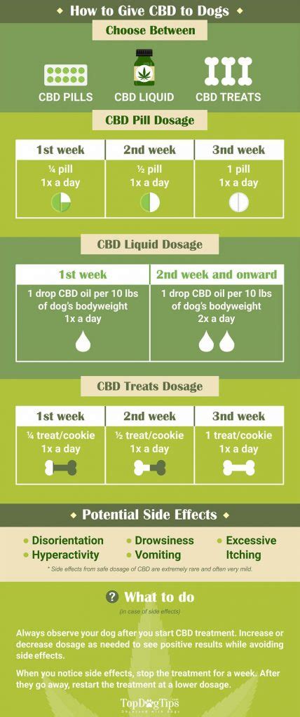 9 Reasons Cbd Is Good For Dogs And How To Give It Top Dog Tips