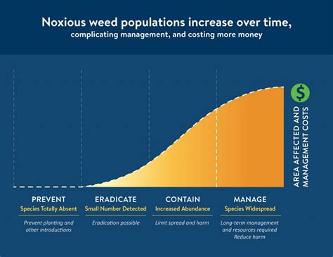 Weed Of The Month The Invasion Curve Rainy Lake Gazette