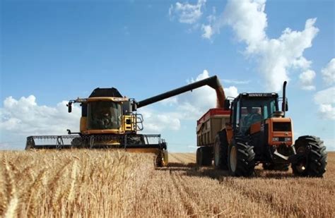 Shrinking Eu Wheat Production Forces Importers To Seek Alternatives Miller Magazine