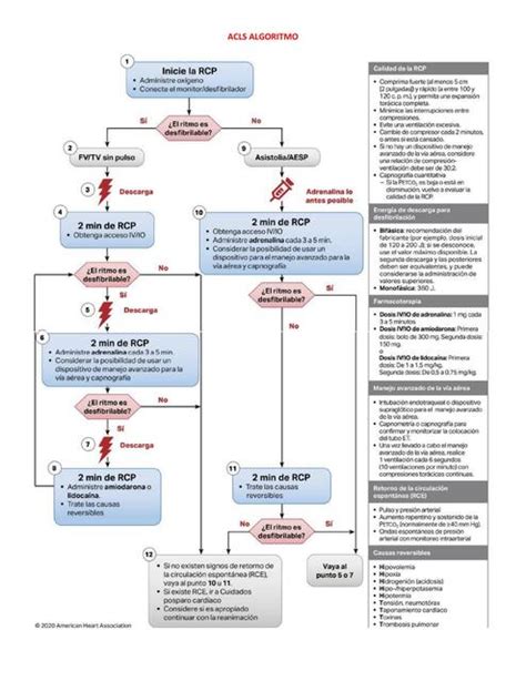 Resúmenes De Algoritmo Rcp Descarga Apuntes De Algoritmo Rcp