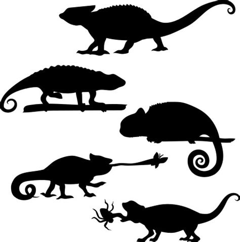 Chameleon Royalty Free Vector Image VectorStock