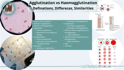 Difference Between Lab Tests Guide