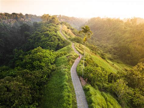 the campuhan ridge walk in ubud a complete guide omnivagant