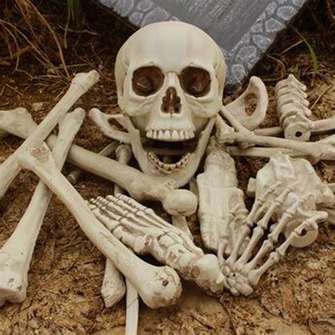 Github Rileynwongpytorch Neural Style Transfer Pytorch Implementation Of Neural Style Transfer