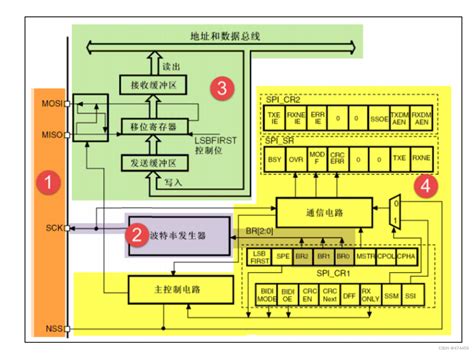 基于stm32f103c8t6、spi协议驱动oled读取aht20温湿度、显示学号以及显示滚动字符 aht20 stm32 csdn博客