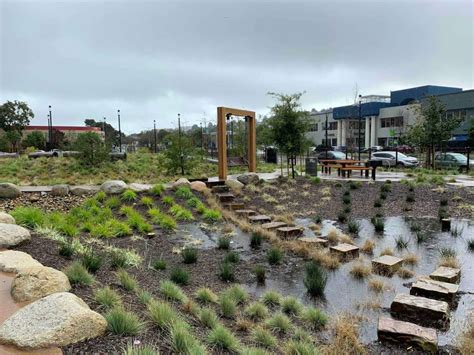 Rain Gardens And Bioswales For Suds