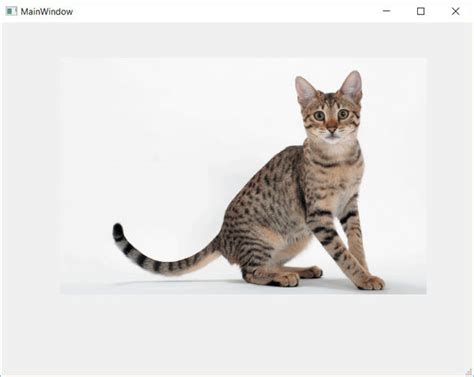 Adding Images To Pyside6 Applications Using Qlabel And Qpixmap