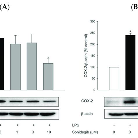 Binding Of Sonidegib To Jnk3 A Chemical Structure Of Sonidegib And