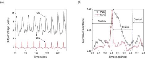 Measured Output Signals Of Ecg And Piezoelectric Sensors A