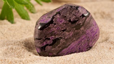 Everything You Need To Know About Sugilite
