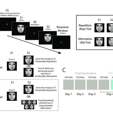 Bold Signal Results For The Right Ffa A Peak Bold Signals For Each