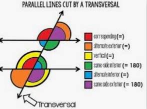 Parallel Lines Cut By A Transversal Vocabulary 8th Grade Quiz Quizizz