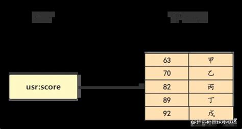 【redis】五大常见的数据类型之 zset我们都知道 redis 提供了丰富的数据类型，常见的有五种：string，h 掘金