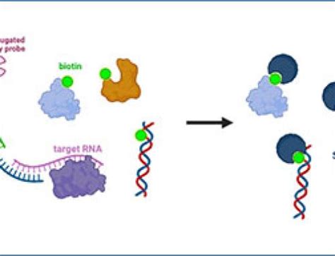 Split Seq Single Cell Profiling With Split Pool Barcoding Rna Seq Blog