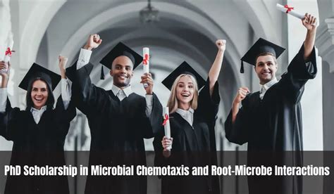 Phd Scholarship In Microbial Chemotaxis And Root Microbe Interactions