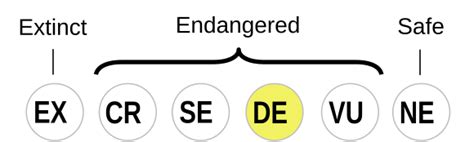 Crow Language Wikipedia
