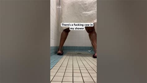 Theres A Cow Help😮 Youtube