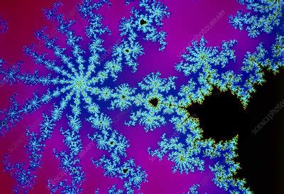Mandelbrot Set Stock Image A925 0042 Science Photo Library