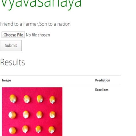 Excellent Category Of Maize Download Scientific Diagram