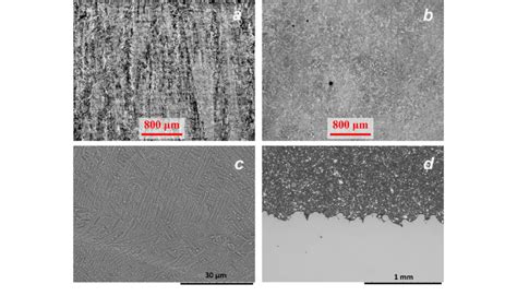 A Parallel Section B Orthogonal Section C Detailed Lamellar